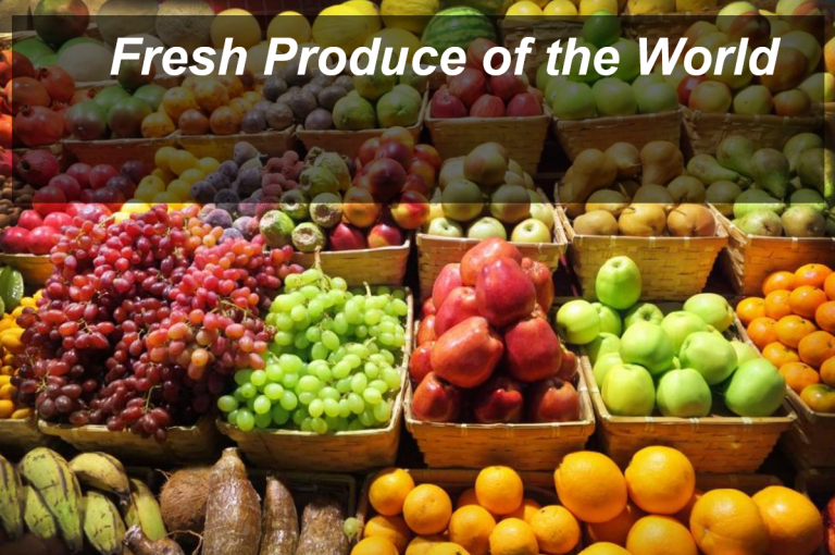 Fresh Produce of the World : ThaiReefer Group