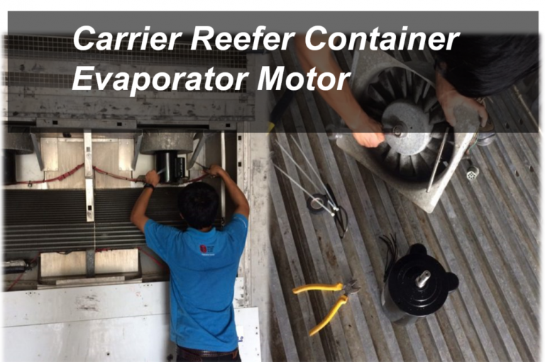 Carrier Reefer Container Evaporator Motor : ThaiReefer Group