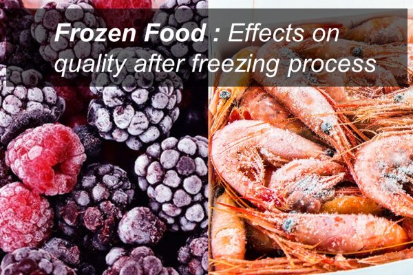 Frozen Food: Effects on quality after freezing process : ThaiReefer Group