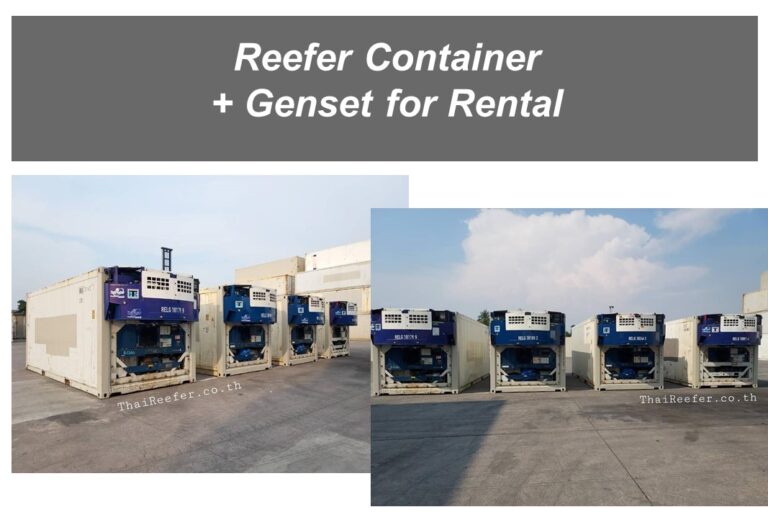 20 ft. Reefer Container with Clip-on Genset for rent | ThaiReefer Group